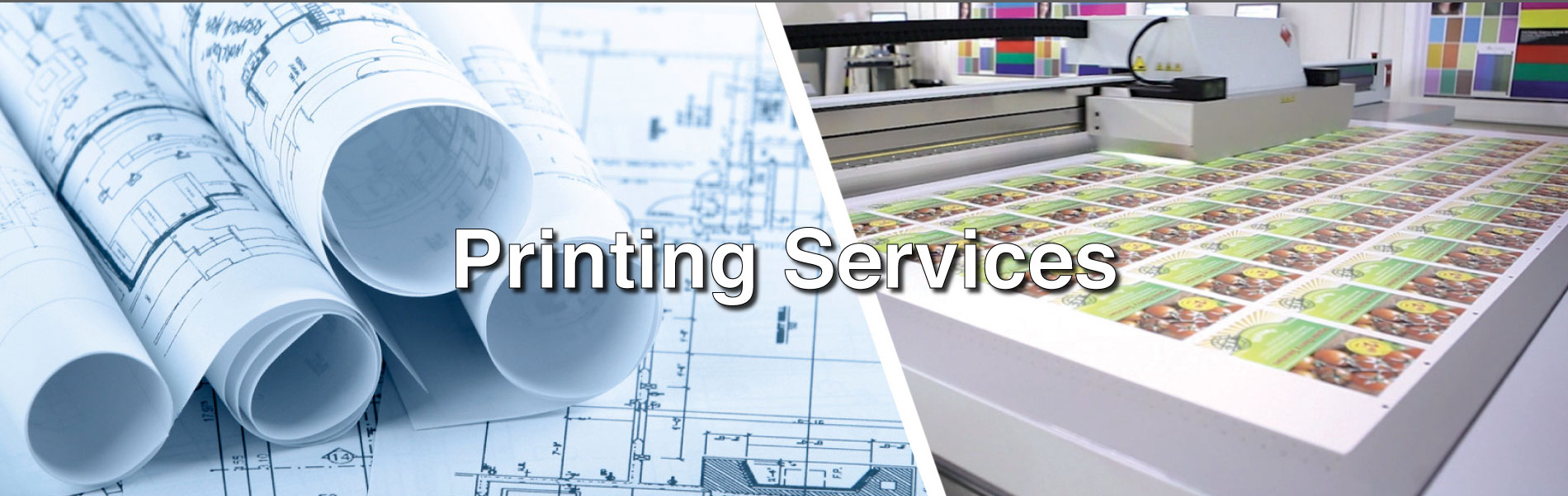 Printing Services - Blue Print Service