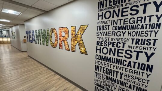 Environmental Graphics: How Interior Graphics Inspire Better ...